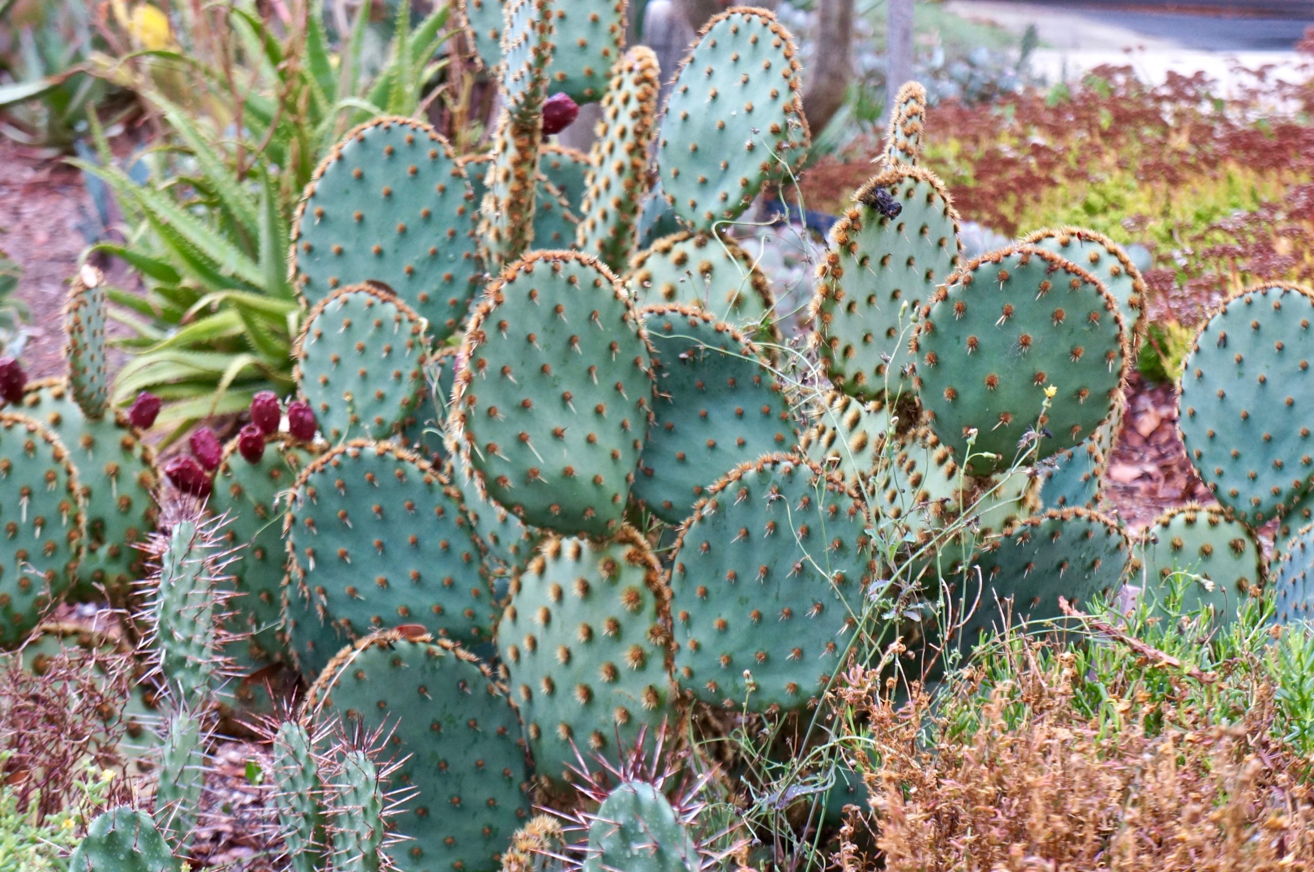 A Passionate Life • Caught in the maelstrom of the moment